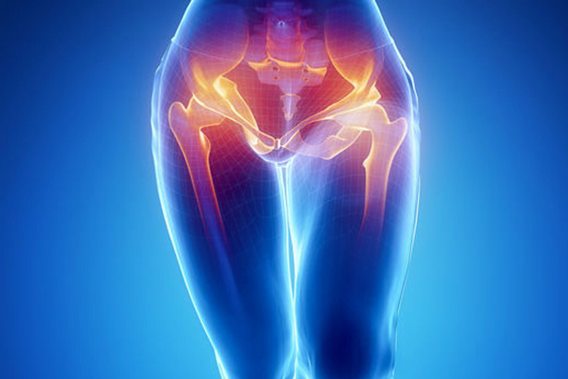 Pubalgie & Anterior Groin Pain – The Hive